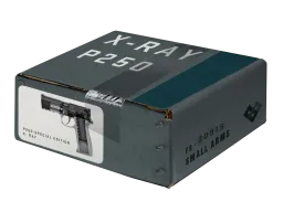 X-Ray P250 Package Skins - CS2 Prices & Trends | SteamAnalyst